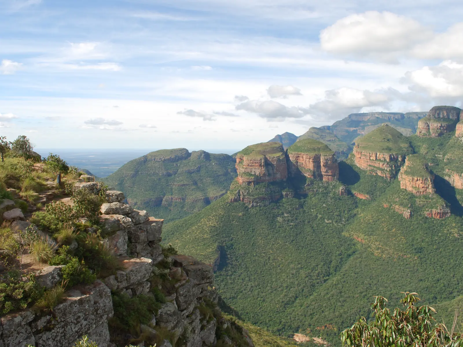 Health Insurance | MROO